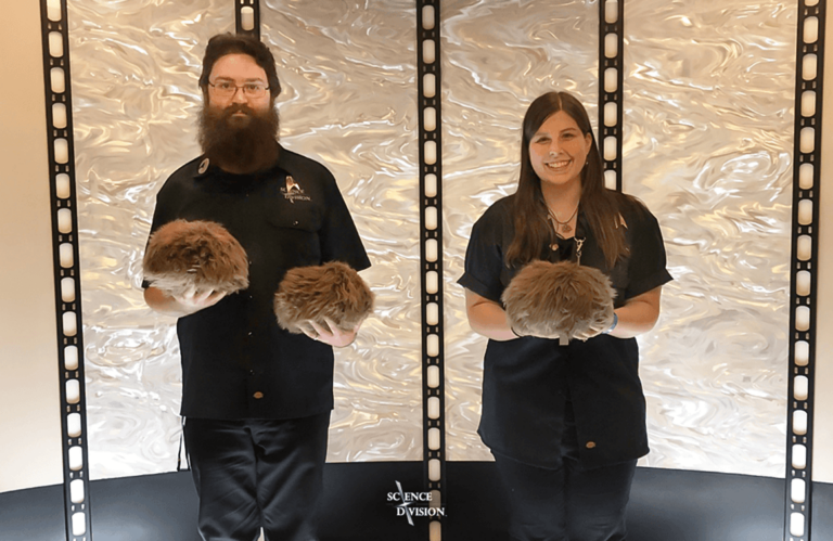 Star Trek App-Enabled Interactive Tribbles from Science Division | Toy ...